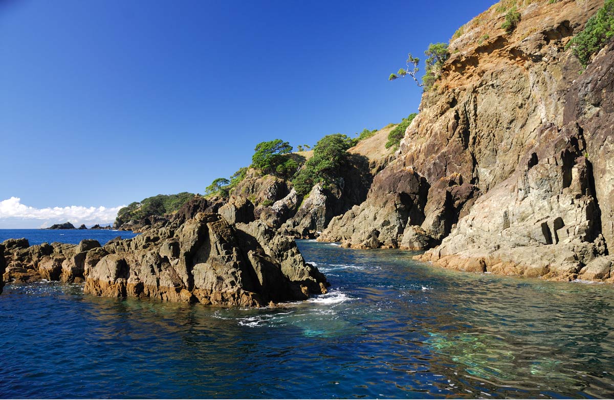 Marine Reserves of New Zealand | WWF-New Zealand