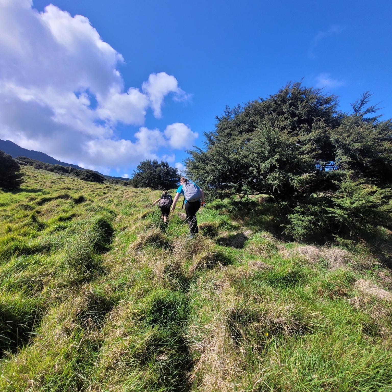 2025/2026 Community Conservation Grants | WWF-New Zealand
