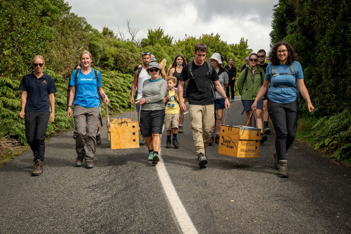 From rare to everywhere: protecting Taranaki’s taonga species | WWF-New ...