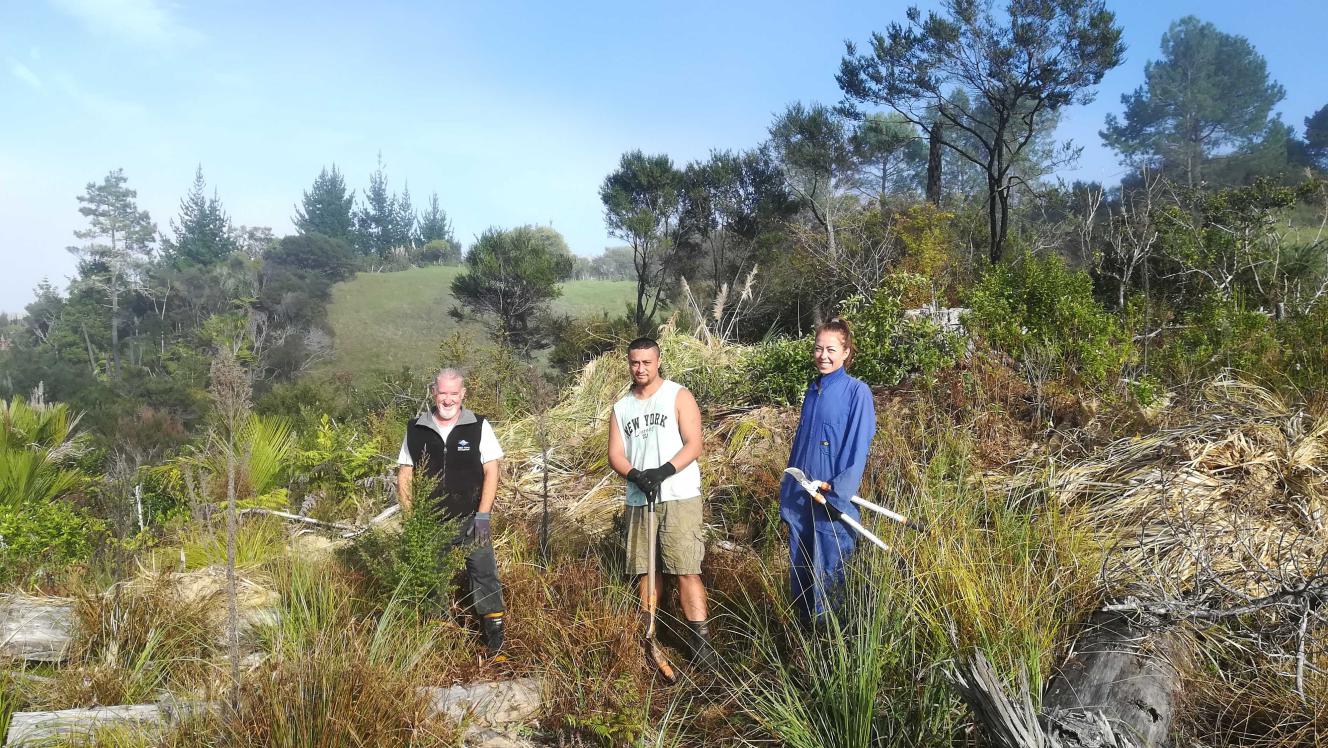 People and nature thriving on the Hokianga Harbour | WWF-New Zealand